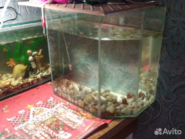 Аквариум