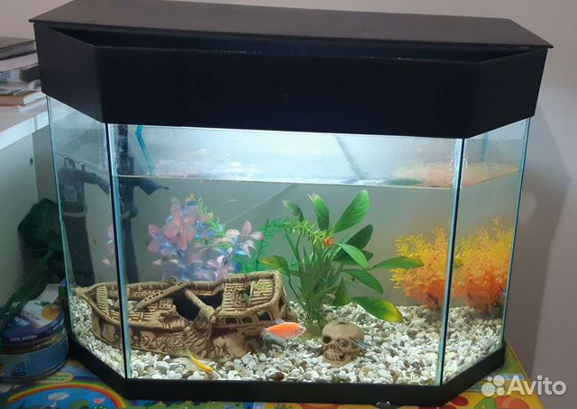 Аквариум с рыбками