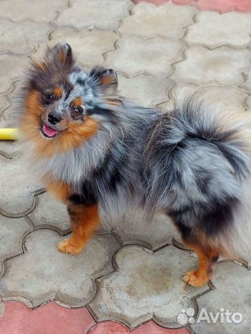 Юнь Си годовалая девочка