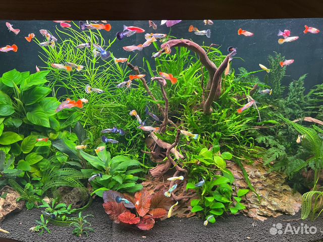 Украшения для аквариума