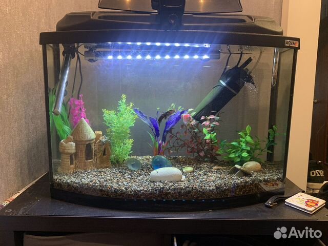 Аквариум