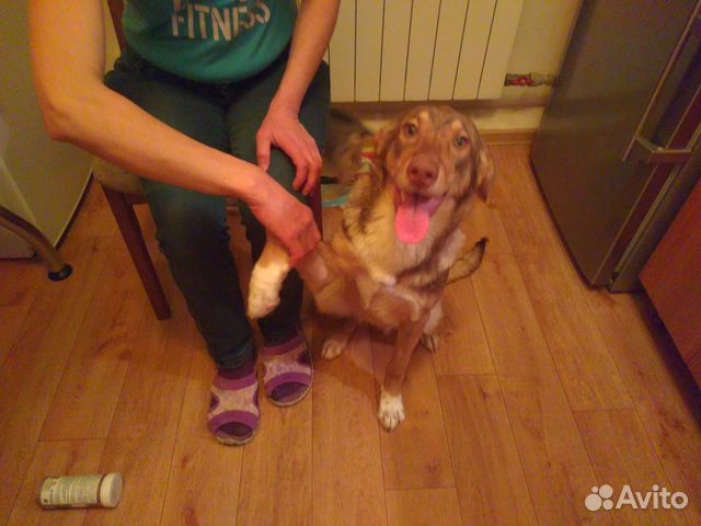 Красавица Линда 15.01.2017г