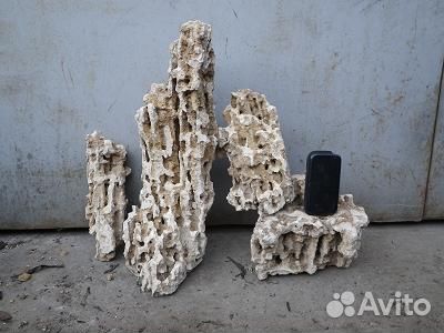 Камни для аквариума ракушечник(миотис, печанник)