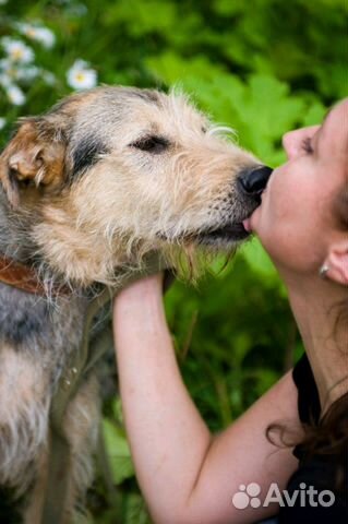 Домашняя Барбара за решёткой приюта