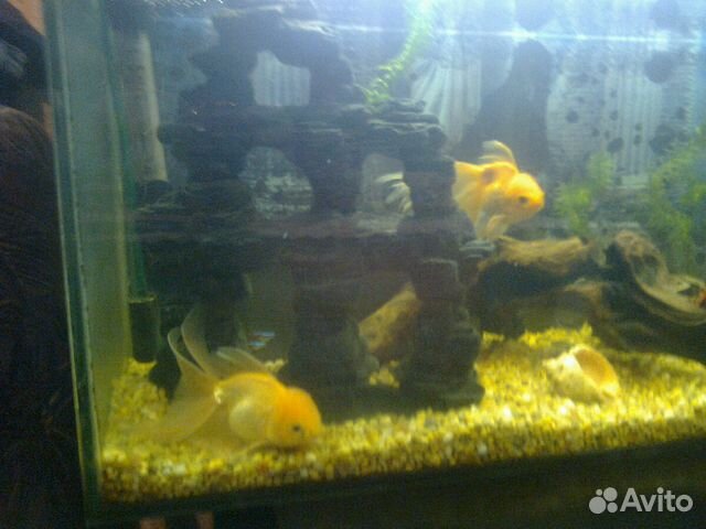 Аквариум110литров