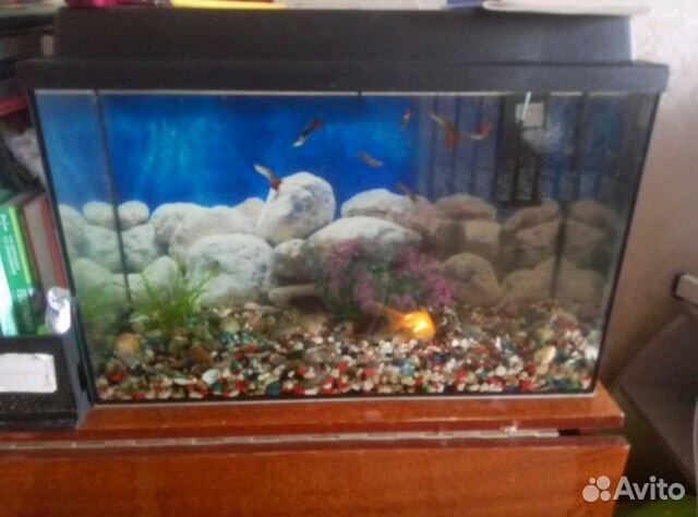 Аквариум с крышкой
