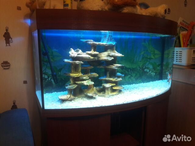 Панорамный аквариум 245л с тумбой, с фильтром