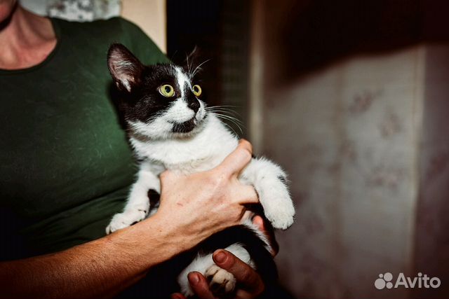 Крепкий орешек