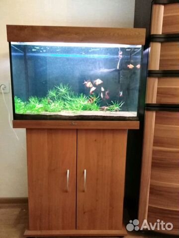 Аквариум Biodesign