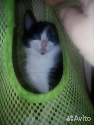 Бел0-черные, для ребенка