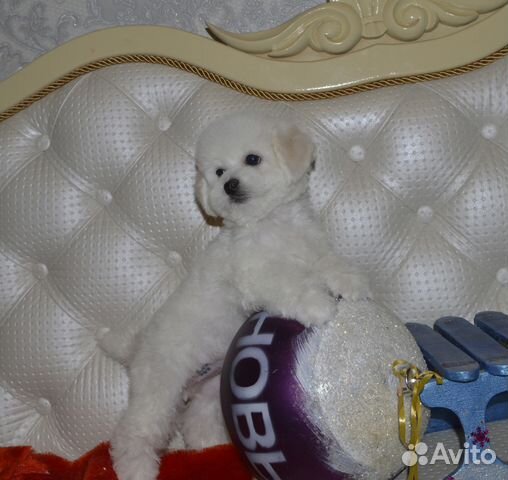 Новогодние игрушки