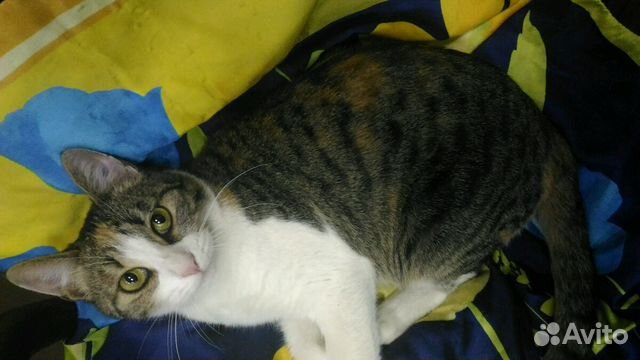 Мотя ждёт приглашения домой