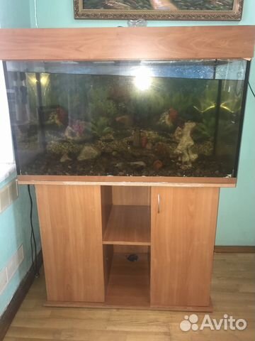 Аквариум 400л и рыбки