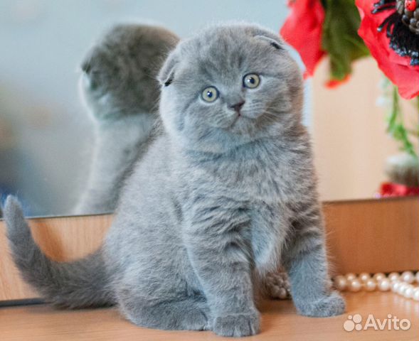 Самый лучший подарок