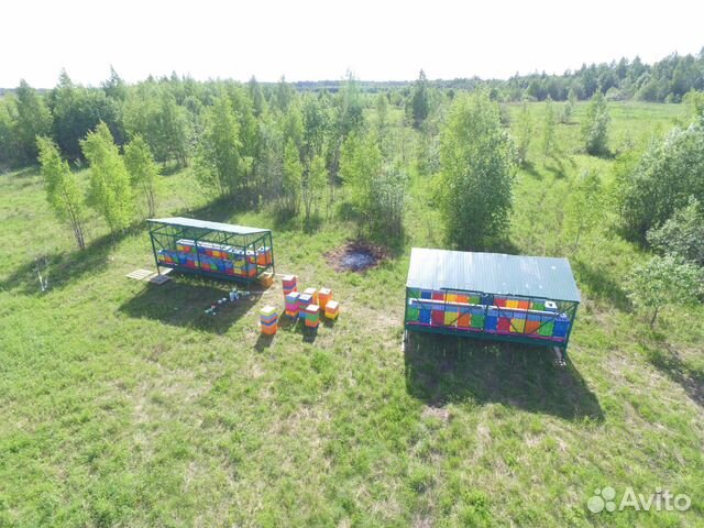 Продается пасека