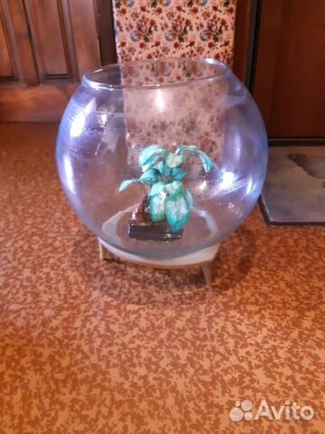 Аквариум круглый