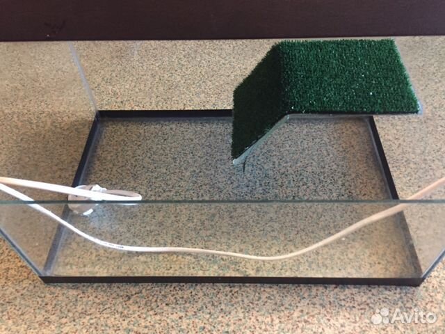 Аквариум для черепах