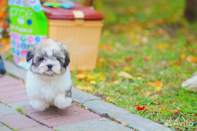 Чудесный ребёнок