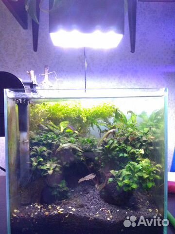 Аквариум 20 литров