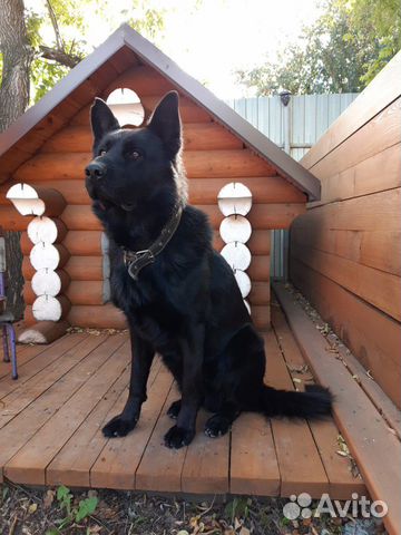 Кабель для случки