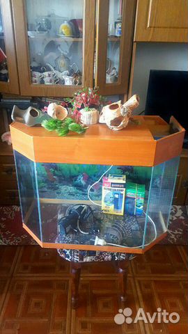 Аквариум