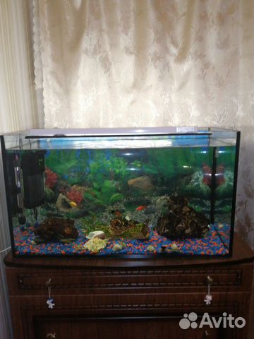 Аквариум
