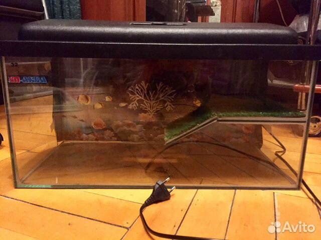 Черепашник