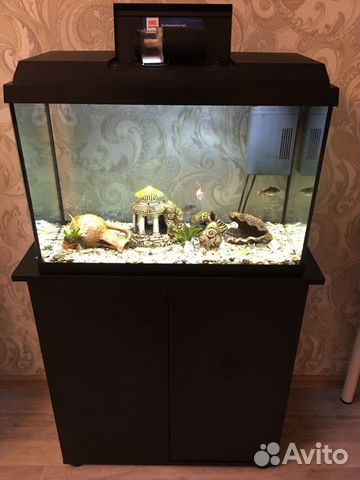 Аквариум Juwel 70л и тумба