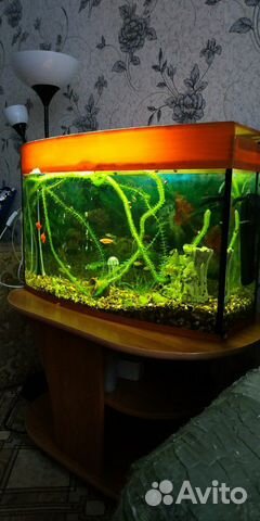 Аквариум 120 л