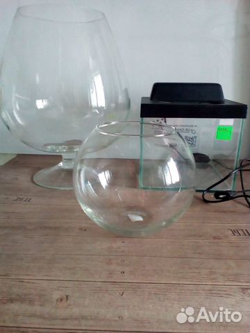 Новые аквариумы и террариумы