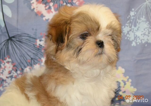 Супер парень