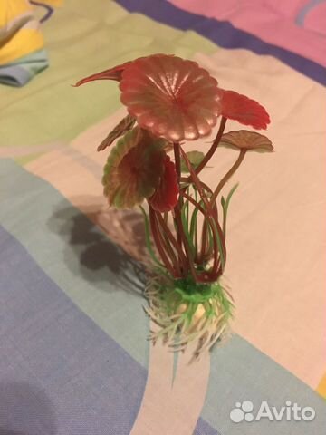 Принадлежности для аквариума