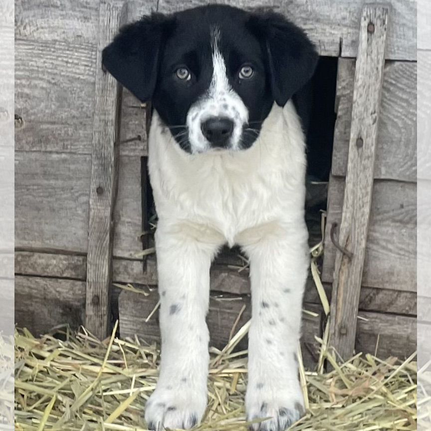 Юкос живет на промзоне, ищет дом