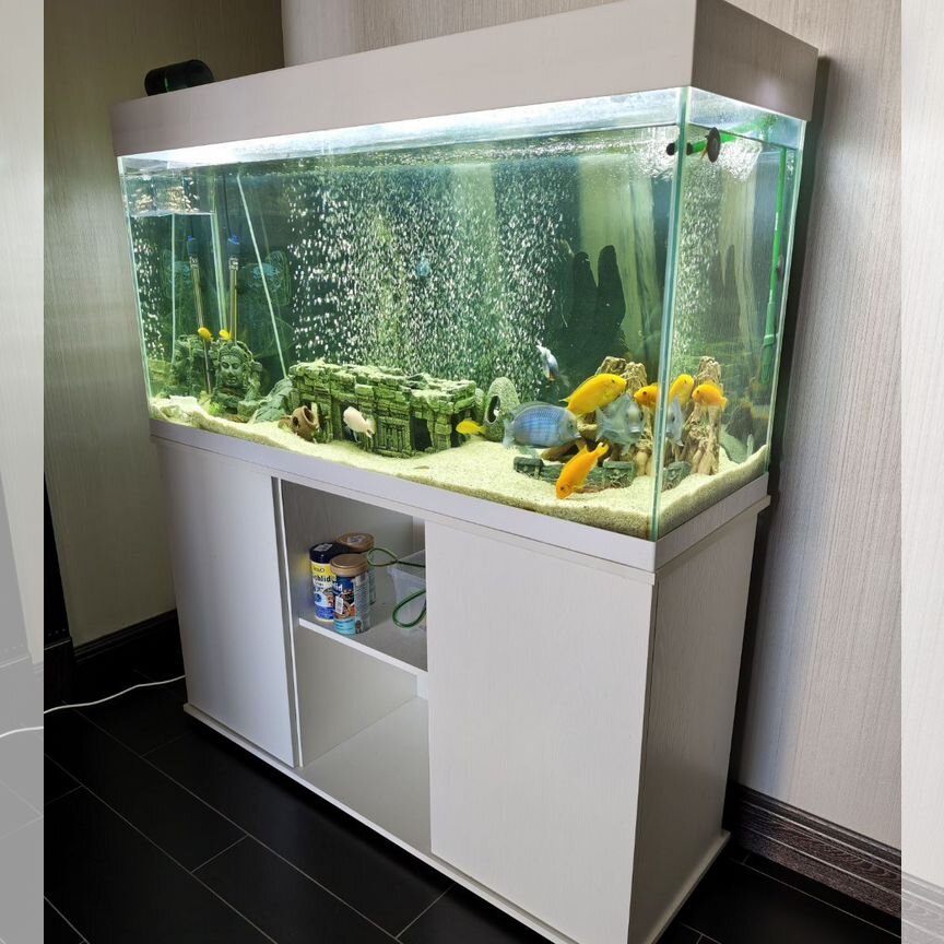 Аквариум 300 литров с тумбой и цихлидами