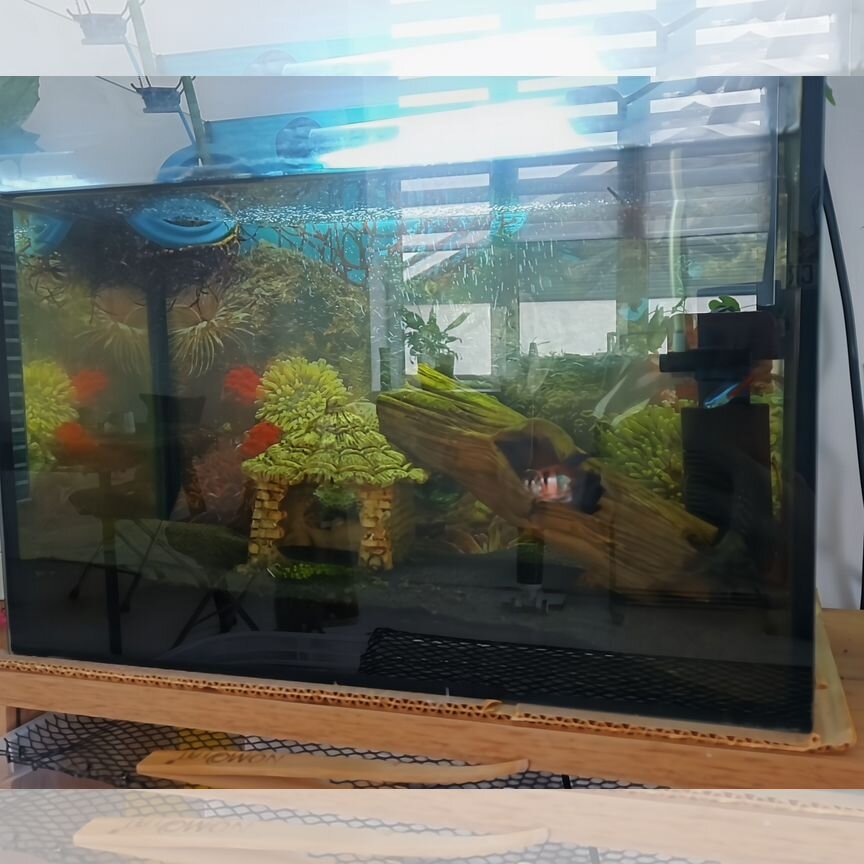 Аквариум 10л и рыбки