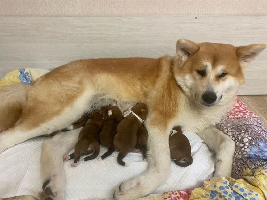 Открыты к бронированию