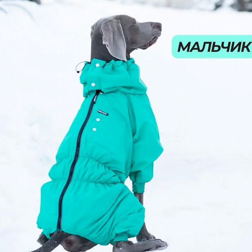 Зимний комбинезон для собак