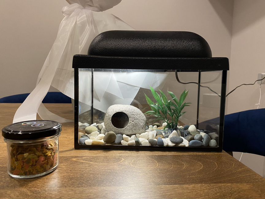 Аквариум на 5л