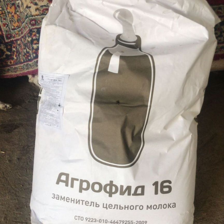 Сухое молоко для телят