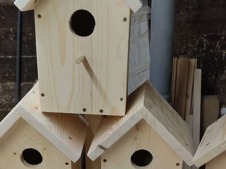 Скворечники для птиц. Скворцы прилетели