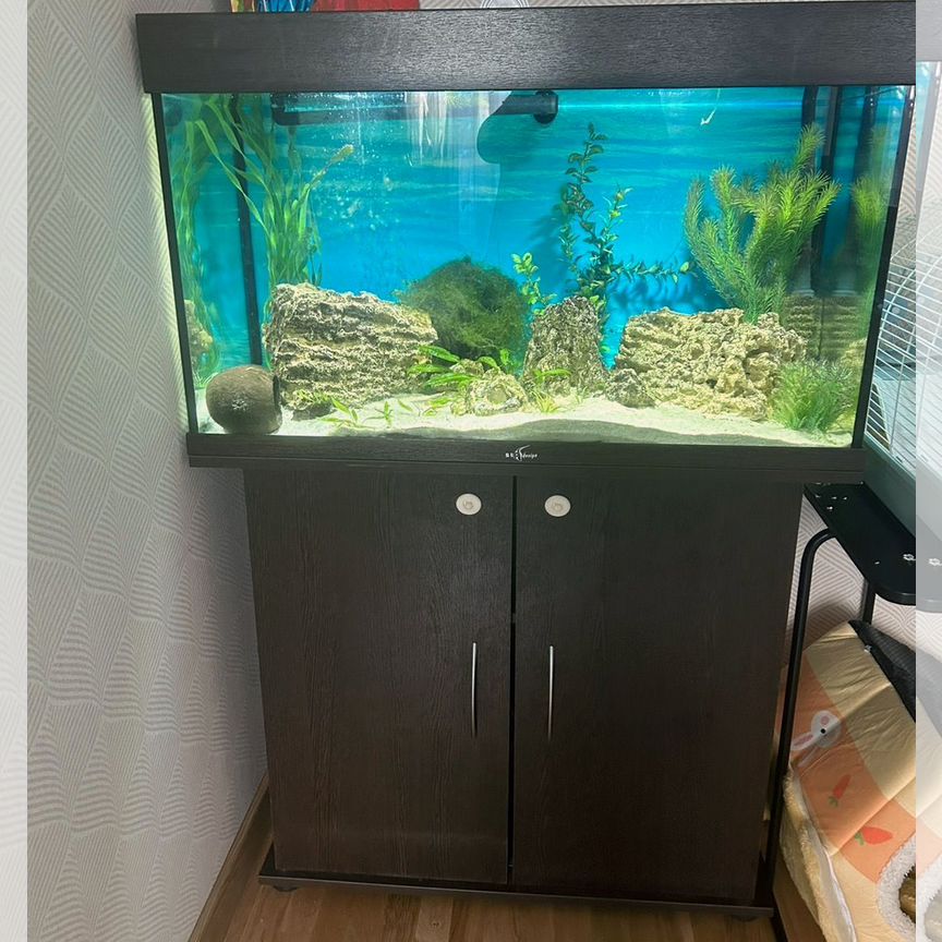 Аквариум 145л