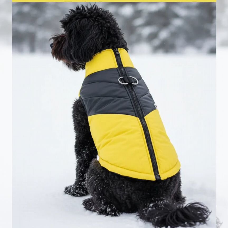 Одежда для маленьких собак пакетом