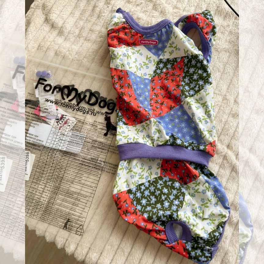 Боди для течной суки