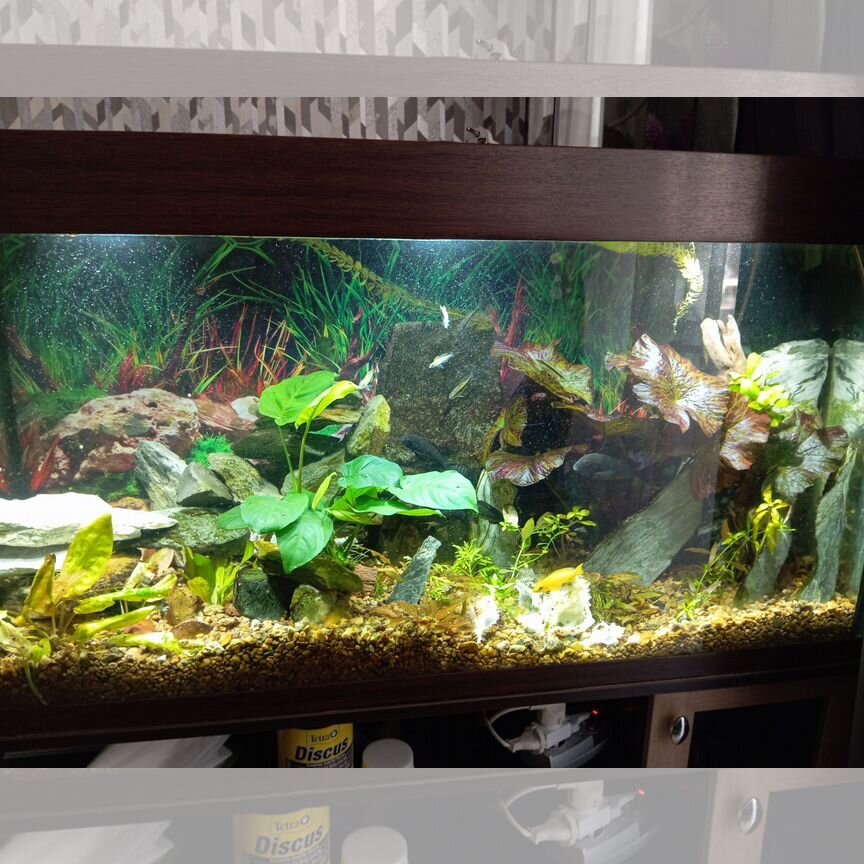 Аквариум juwel 200л 70л Внешний фильтр tetraex1200