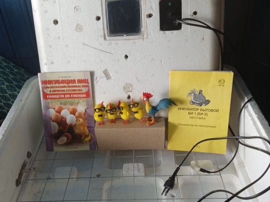Инкубатор для яиц