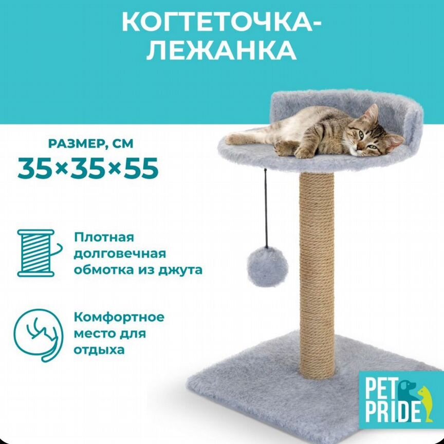 Когтеточка