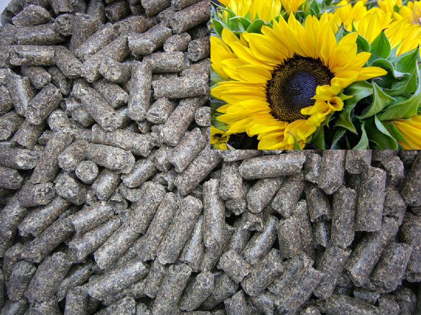 Шрот подслонечый 39 гост протеин