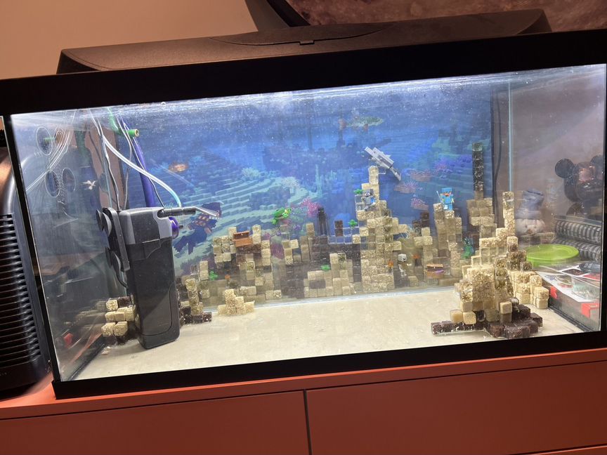 Аквариум для рыбок или аксолотов