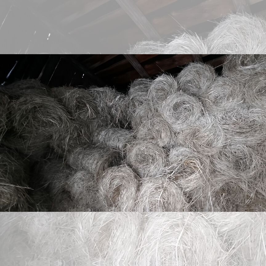 Сено в мини рулонах