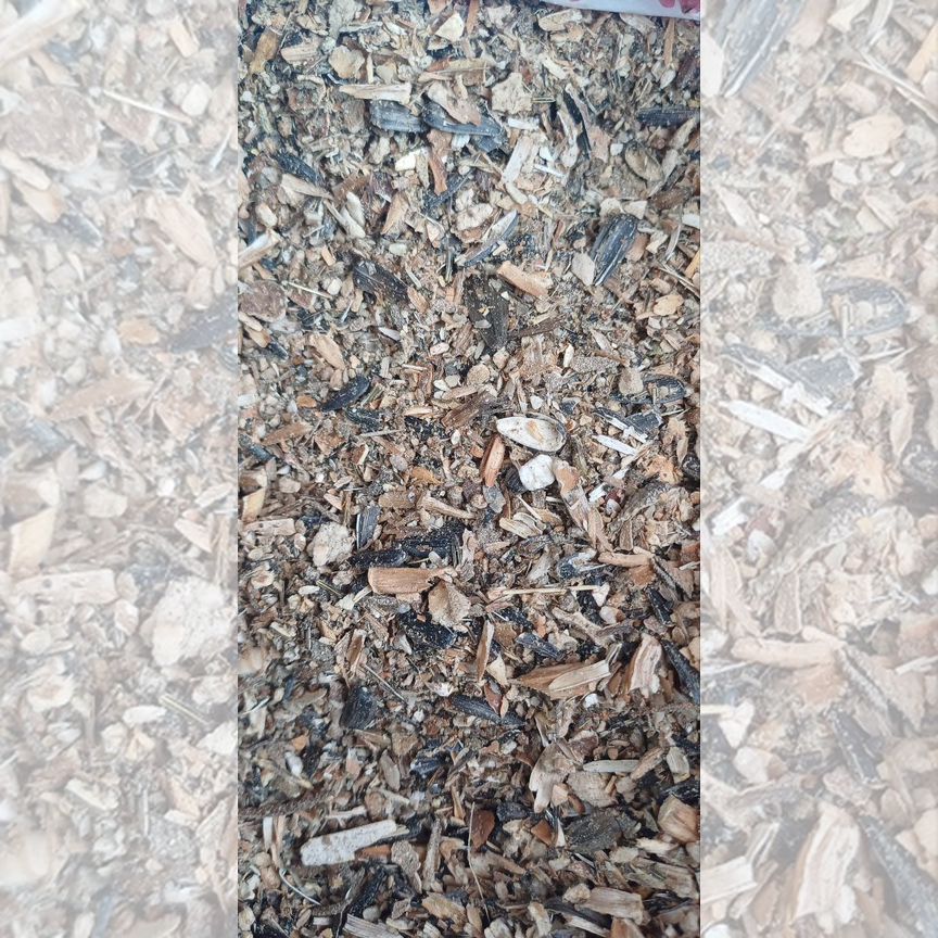 Отходы семечки